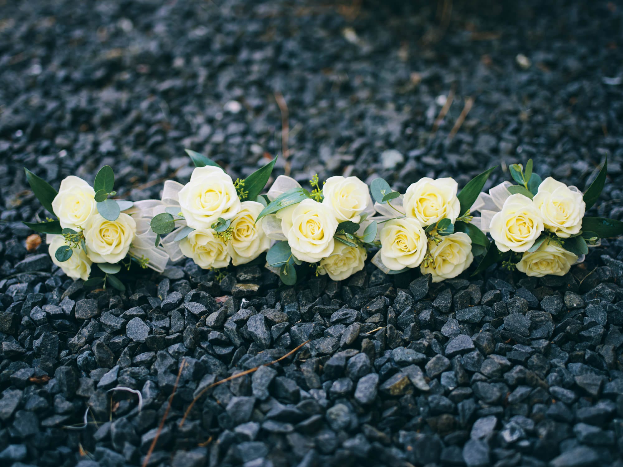 Jennings Trace Wedding Photographer – Hector & Ivette – CivicPhotos